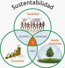 sust - Desarrollo Sustentable / The Tree School